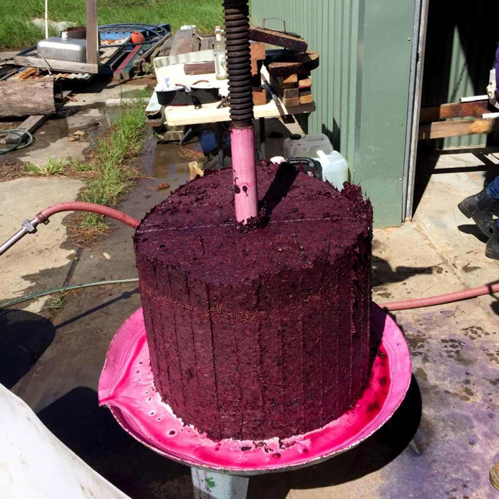 What do you call this colour? Chambourcin RED! - Mountain Ridge Wines ...